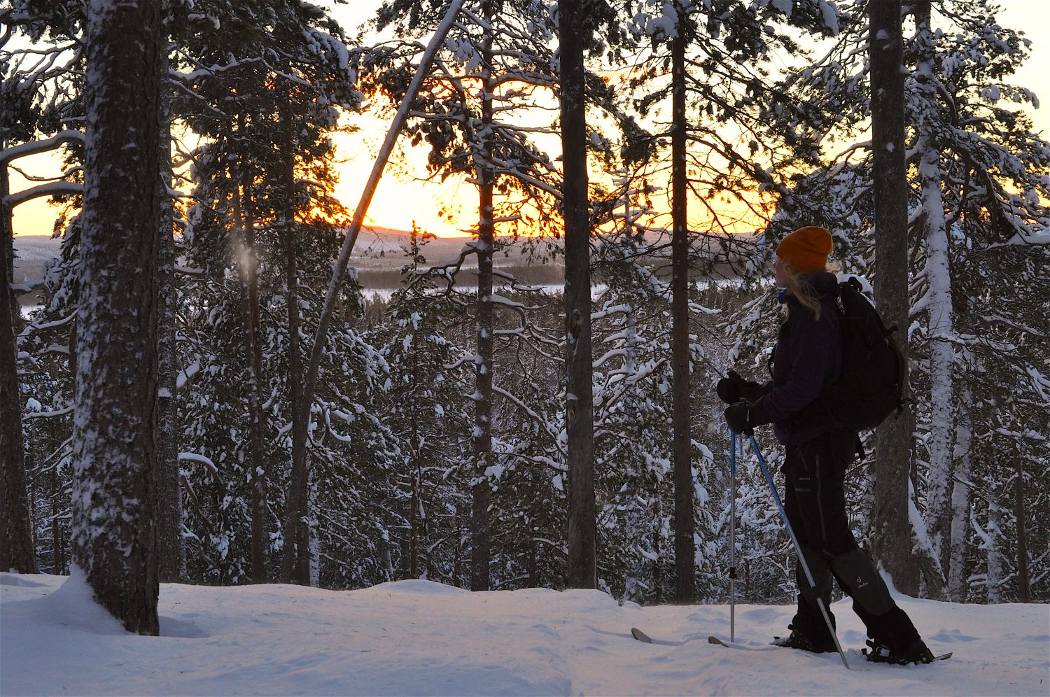 Skishoeing - fun and traditional way to enjoy winter magic - FINLAND ...