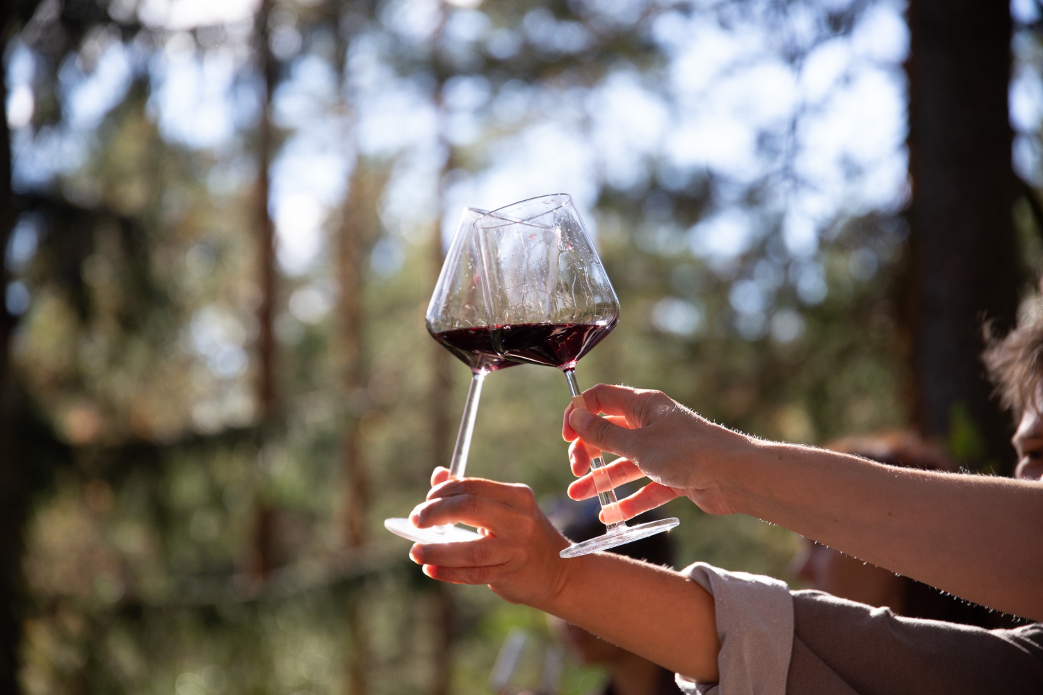 Wine in the Woods - FINLAND, NATURALLY