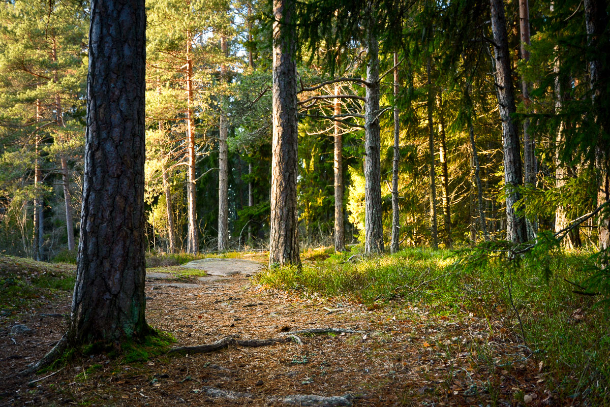 The stunning Liessaari Island in Lohja near Helsinki invites you to ...
