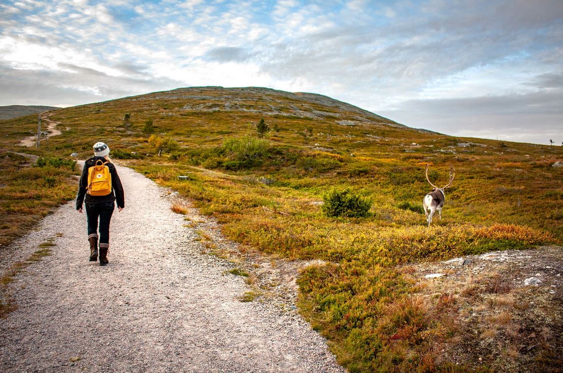 A Guide for Nature Enthusiasts: 10+1 Must-Try Experiences for Exploring ...