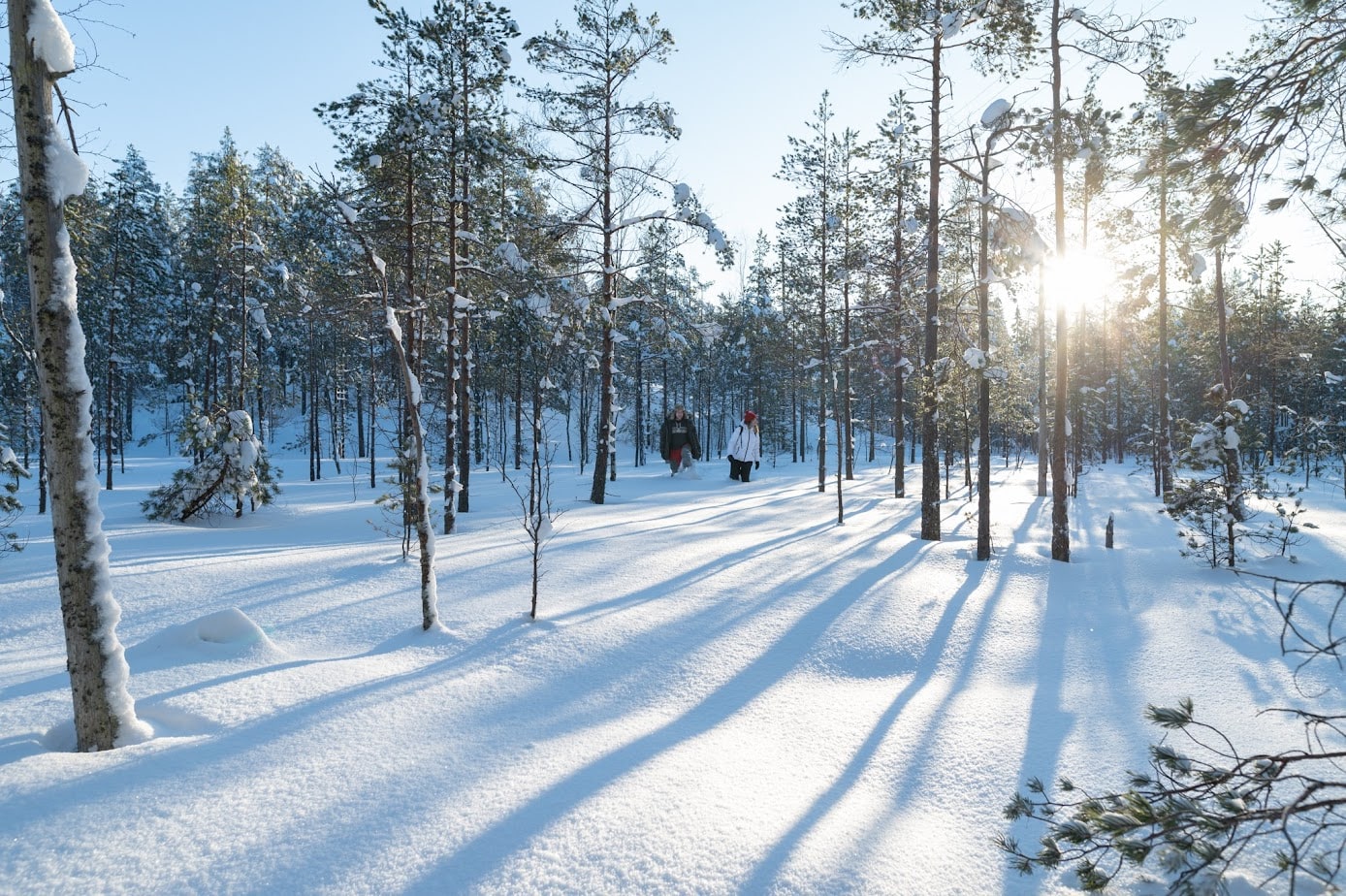 Snowshoeing – Easy Winter Fun! – FINLAND, NATURALLY