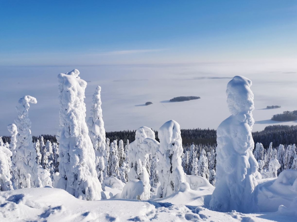 Old Rauma is a must-see destination in Finland and a much-loved classic ...