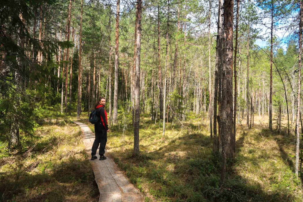 A Hidden Forest Oasis in Hämeenlinna - Discover Ahvenisto nature ...