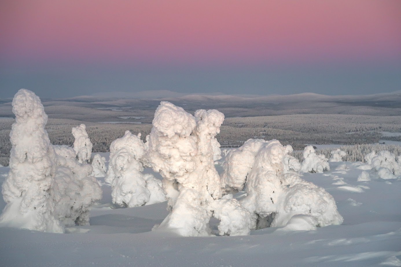 This Is Not Ordinary Snow – what you see here is Crown Snow-Load ...